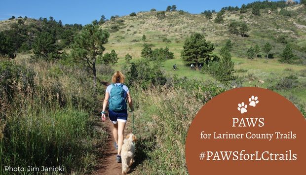 Larimer County and partners urge visitors to recreate responsibly with dogs | Larimer County